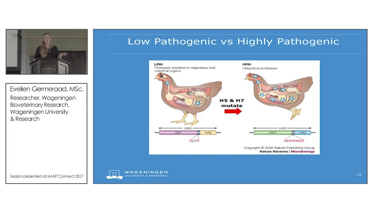 A Powerful Multiplex Serological Assay for Avian Influenza in Poultry ...