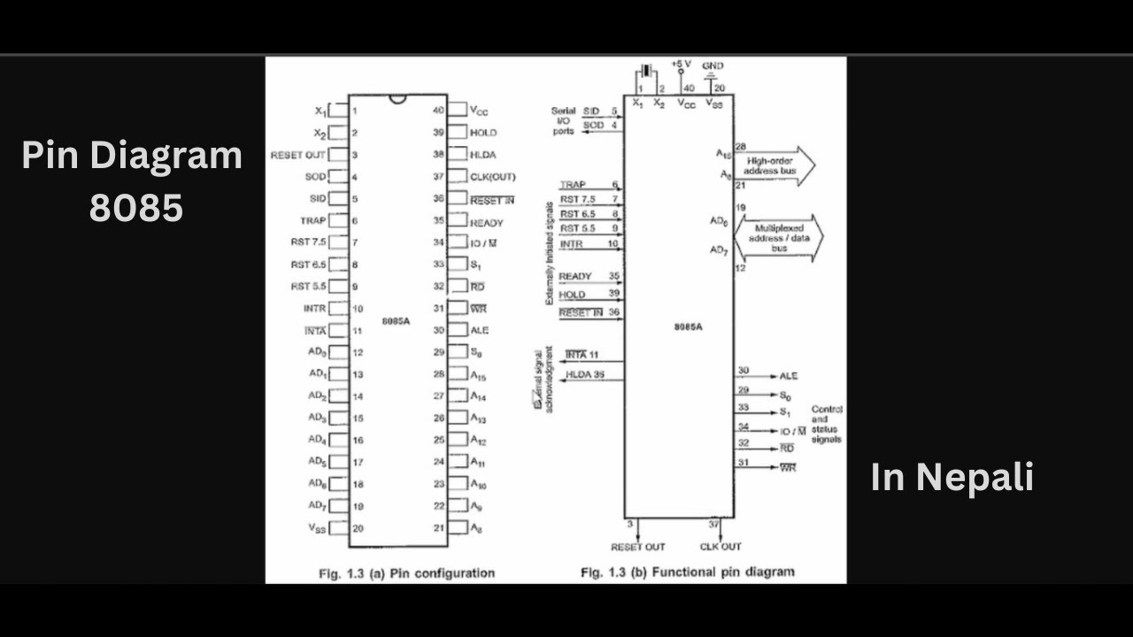 BCA Second Semester 8085 Pin Diagram Simplified! - YouTube