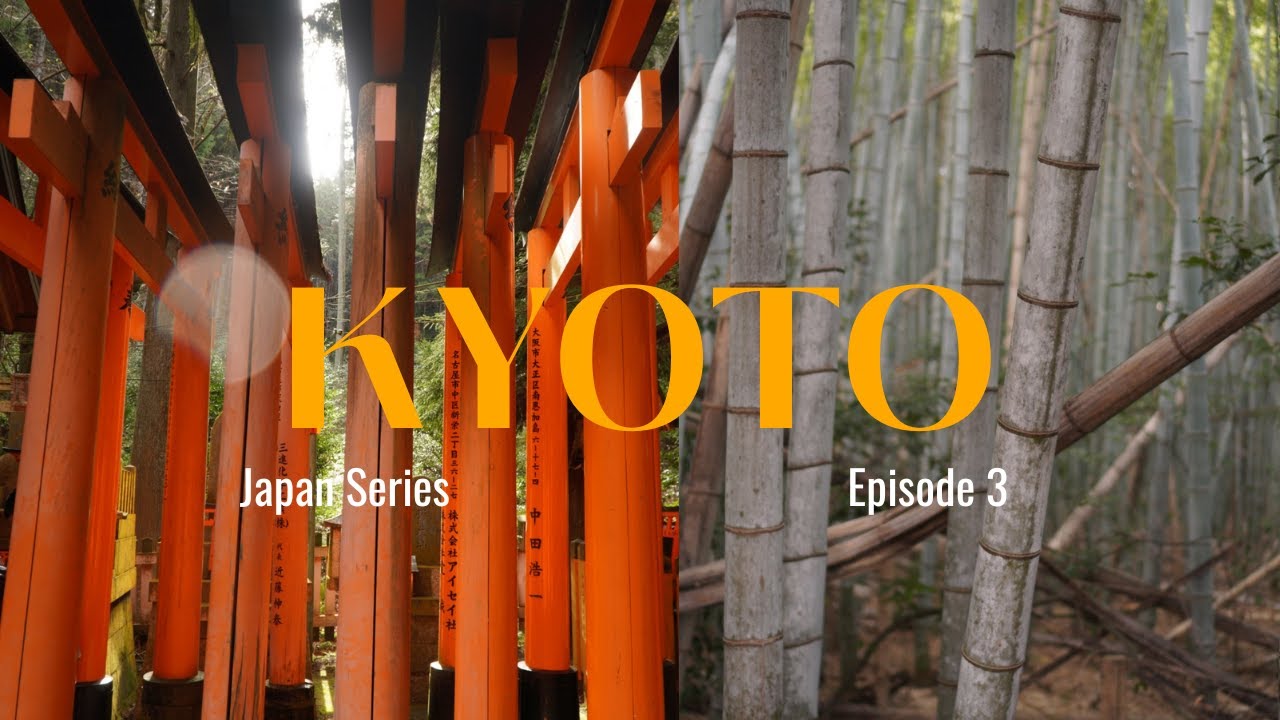 Kyoto Vlog | Japan Series: Ep. 3 | Fushimi Inari Gates, Bamboo Grove ...