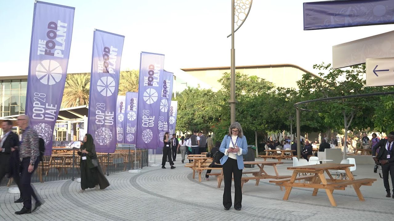 Delegates arrive for climate talks in Dubai as COP28 summit kicks off ...