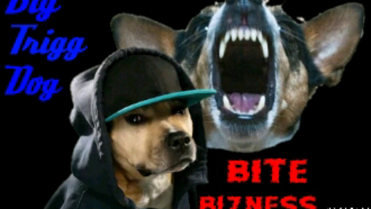Big Trigg Dog ft. Killah Scrappy PUT TA SLEEP - YouTube