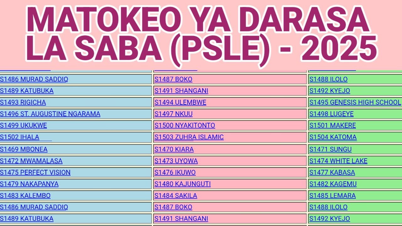 Tazama Matokeo ya Darasa la Saba 2025/2026 Necta Psle results - YouTube