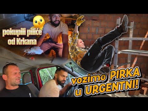 ODVEZLI TELE HITNO U URGENTNI I POKUPILI PILICE OD KRKANA EP/18