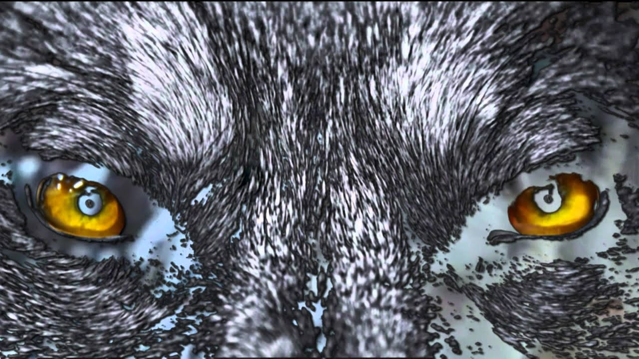 U2 Raised By Wolves - YouTube