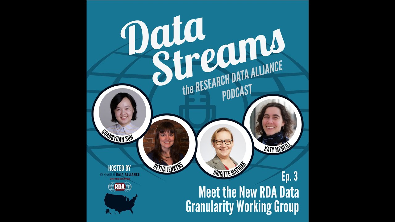 Data Streams Episode 3: Meet the New RDA Data Granularity Working Group - YouTube
