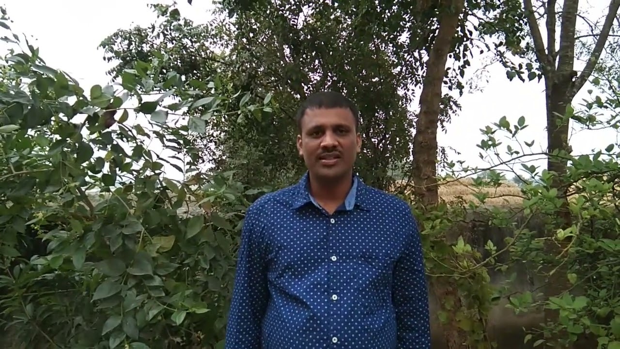 Maredu Chettu Bale Tree Available Location - YouTube