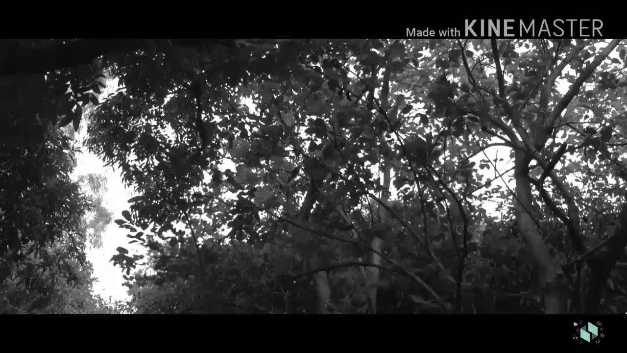 Ang Nuno sa Punso Trailer in Filipino - YouTube