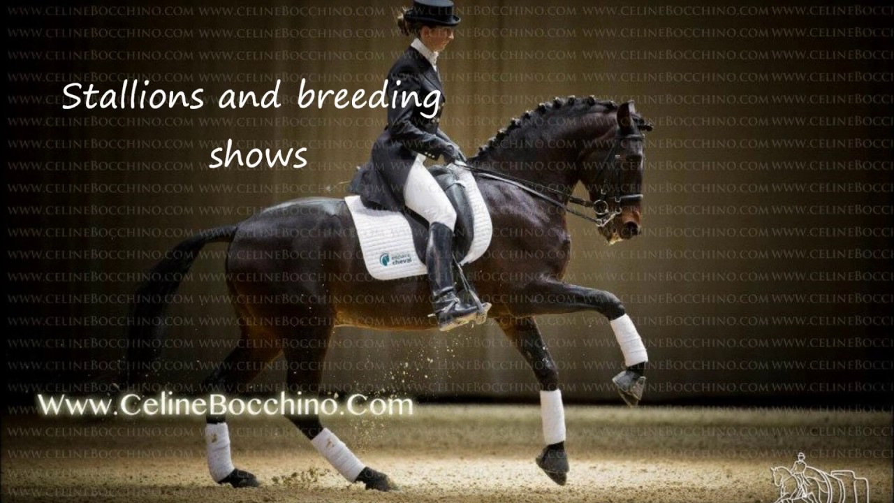 Chloé Jacques dressage rider and trainer - YouTube