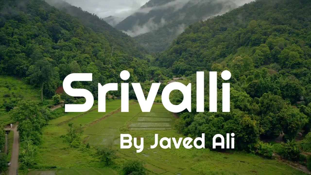 #Srivalli (Hindi) Lyrics | Pushpa - The Rise | Allu Arjun, Rashmika ...