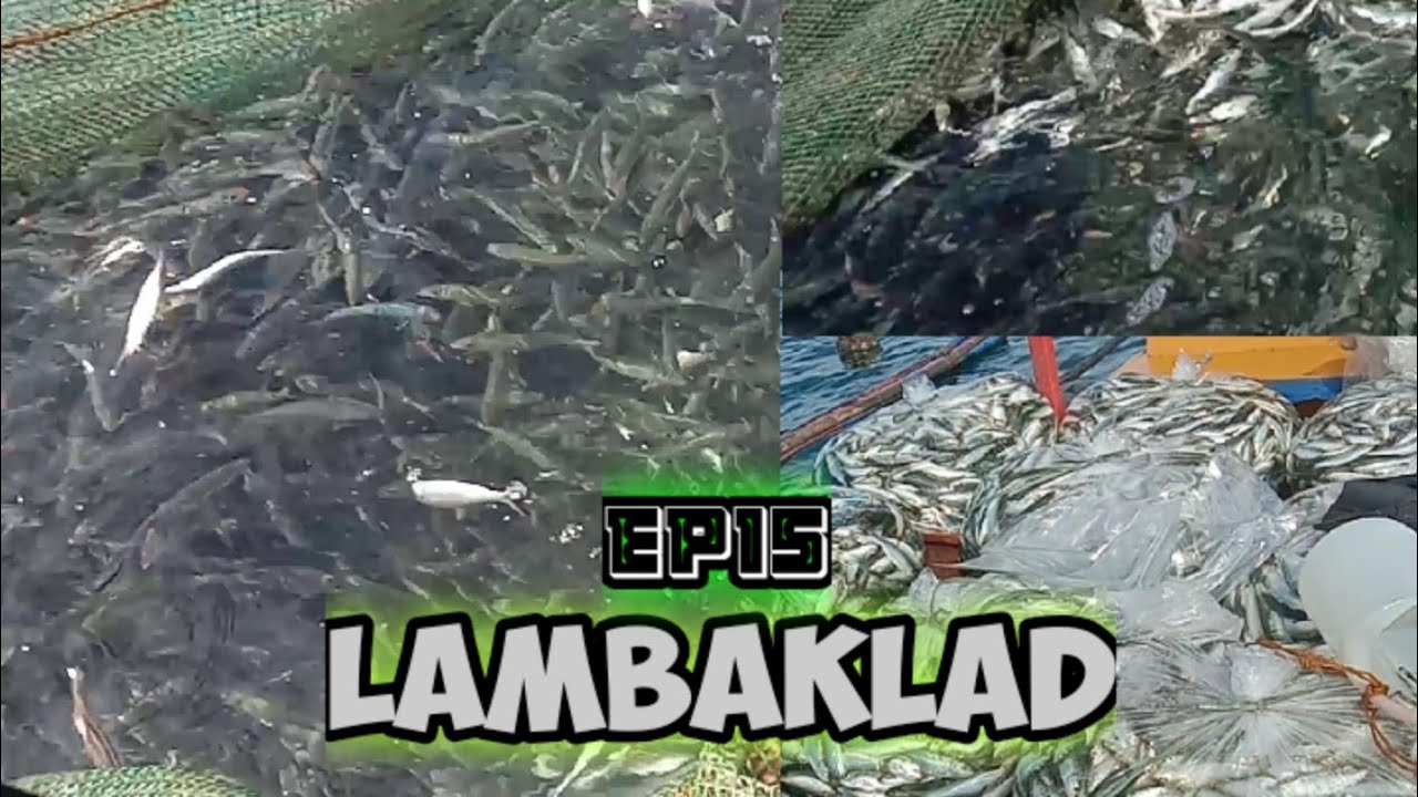 Daming Huli namin isdang hawol hawol or isdang sardens - YouTube