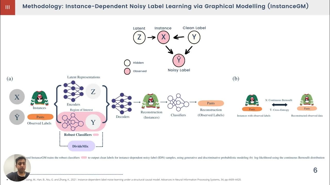 Instance-Dependent Noisy Label Learning via Graphical Modelling - YouTube