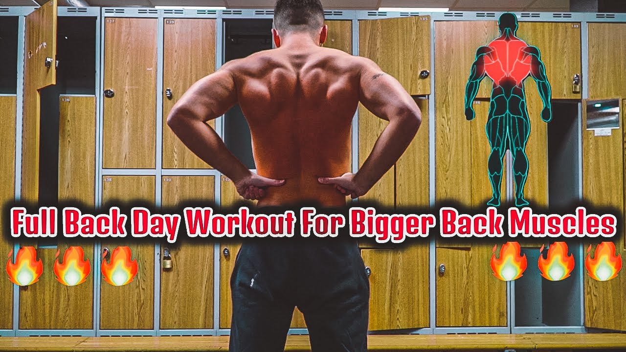 Full Back Day Workout For Bigger Back Muscles - YouTube