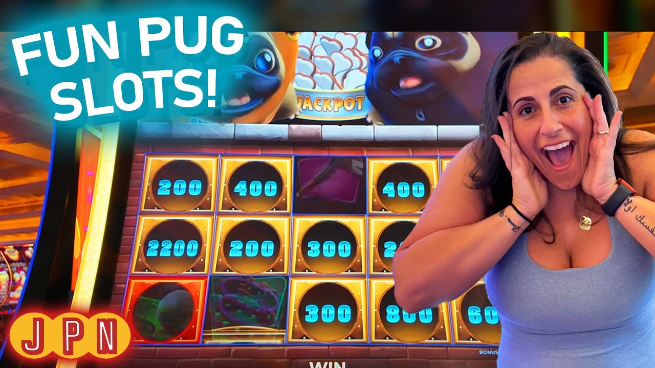 Some Pug Love for my @GamblingPugs slot channel! What a great win on a ...