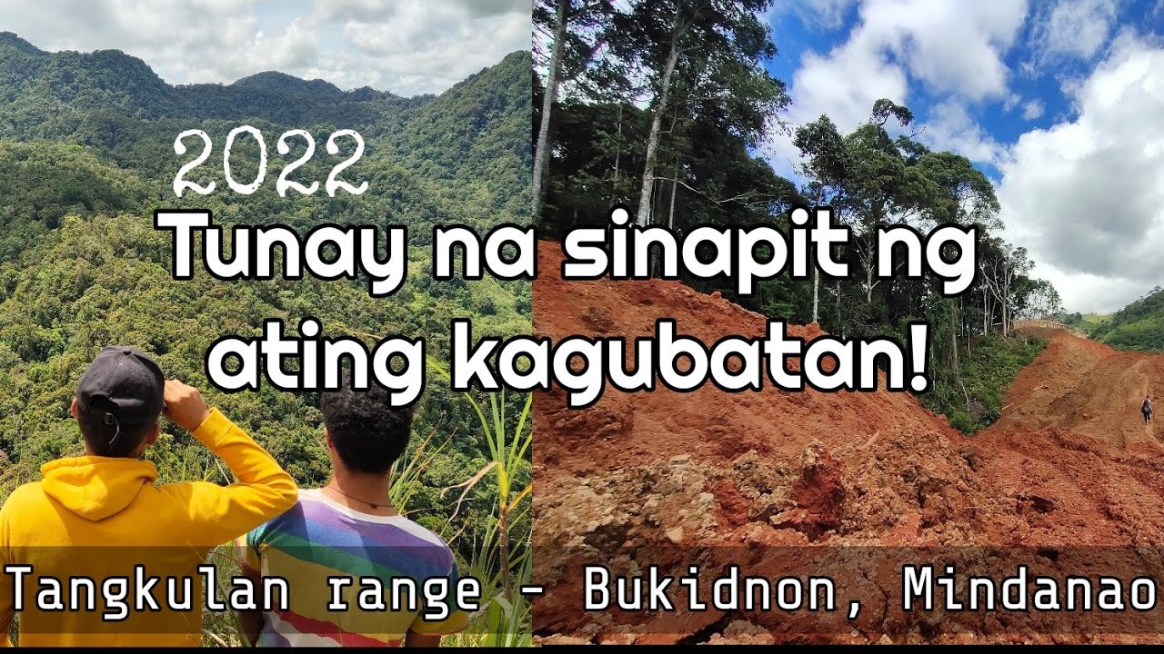 Ang nakakalungkot na sitwasyon ng kagubatan sa Tangkulan Range Bukidnon ...