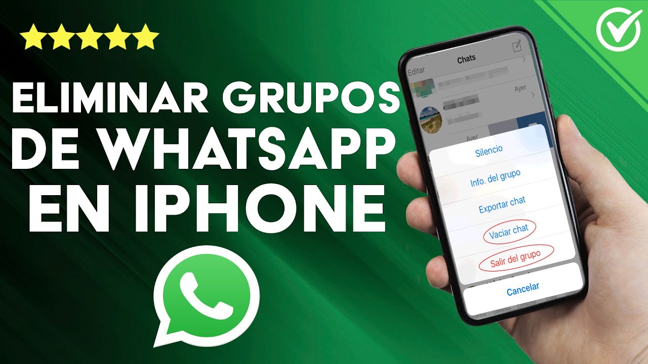 ¿cómo Eliminar Grupos De Whatsapp Desde Mi Iphone Administrar