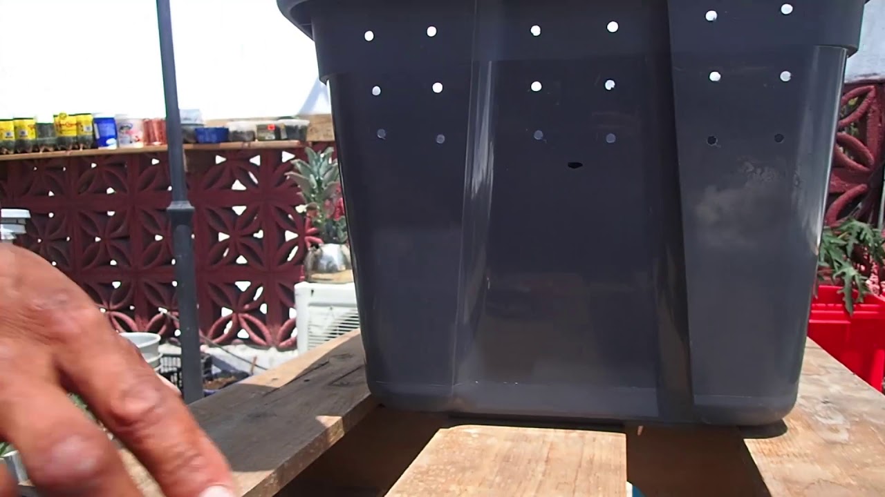 How I build a simple worm farm using a single plastic container. - YouTube