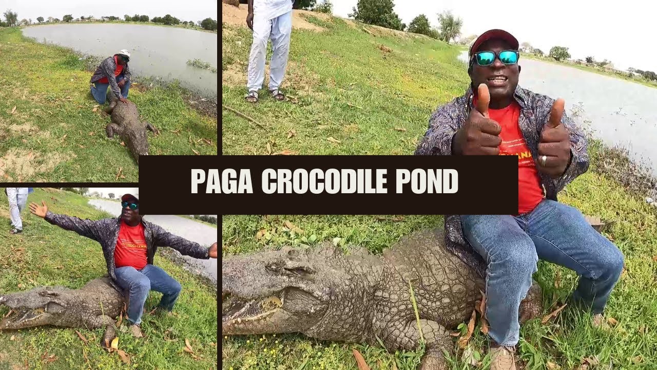 A memorable tour of Paga Crocodile Pond - YouTube