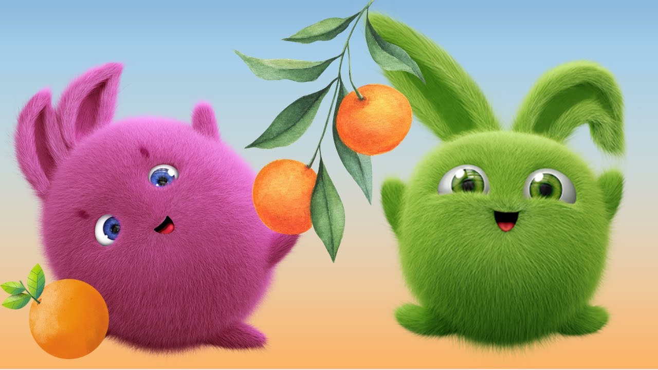 Best of Sunny Bunnies | Orange Fun | Cartoons for Kids | Cartoon Candy ...