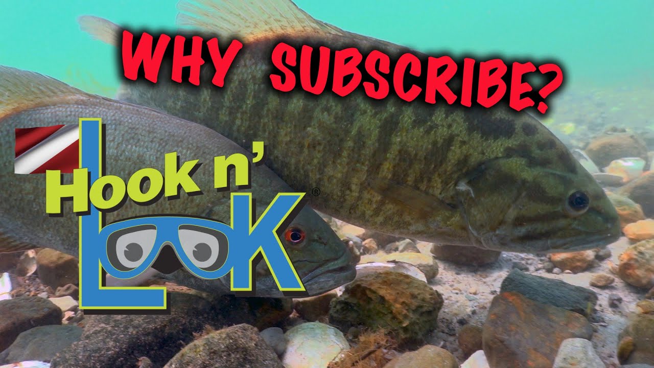 Why Subscribe to Hook n' Look? - YouTube