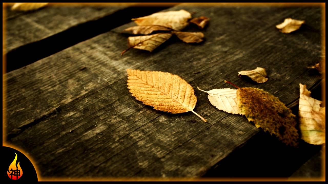 Instrumental Folk Music | Fall Weather | Relaxing Inspiring Music - YouTube