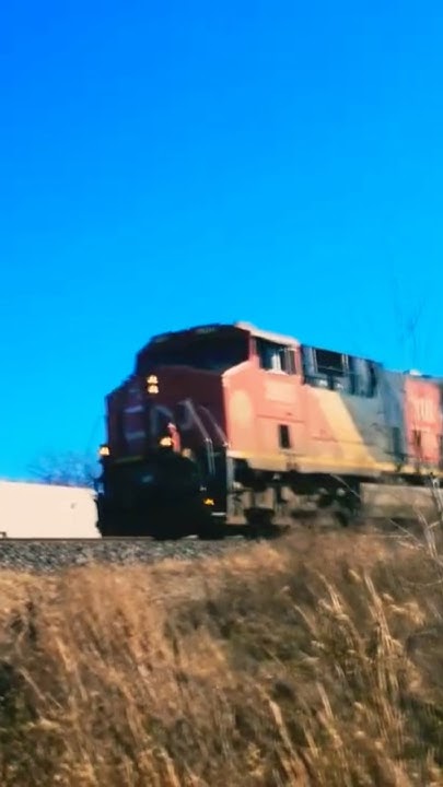 Canadian National Intermodal Rumbling Through Plainfield - YouTube
