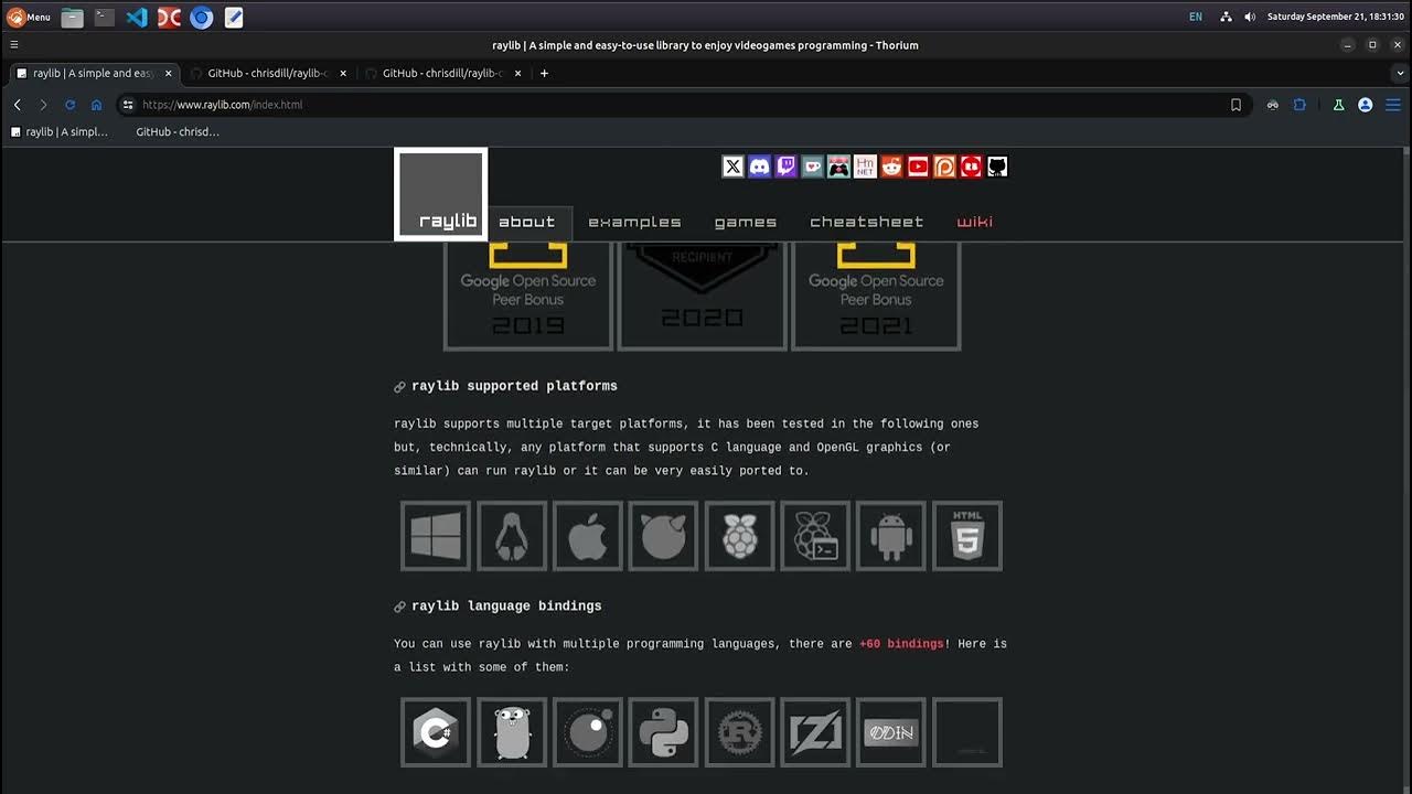 Using Raylib in C# - simple Hello world application - YouTube
