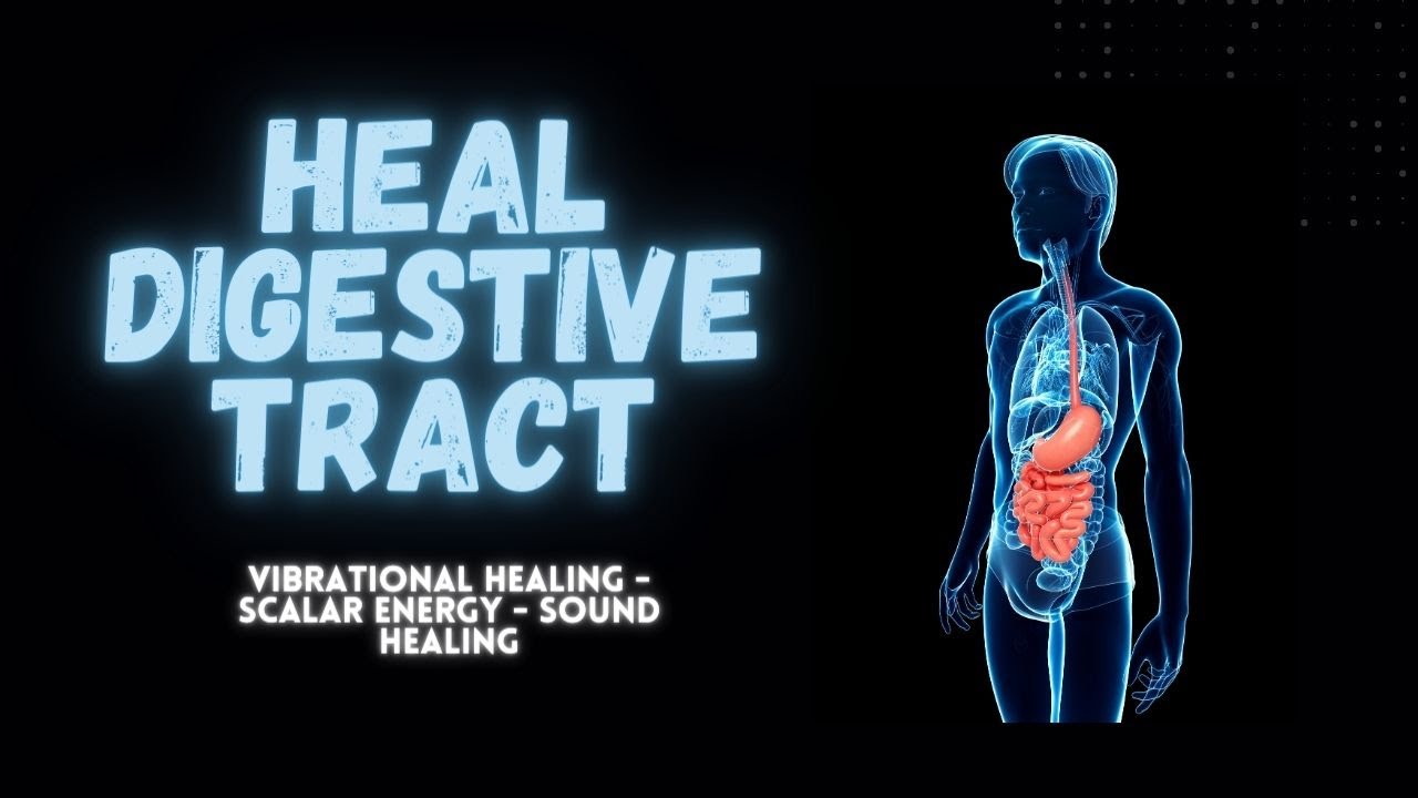 Heal Digestive Tract - Stomach Issues - Get Rid of Gastritis - Scalar ...