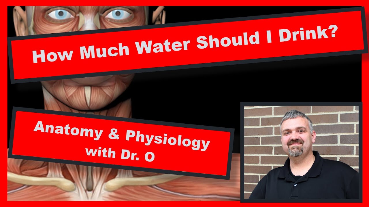 How Much Water Should I Drink? (Anatomy and Physiology) - YouTube