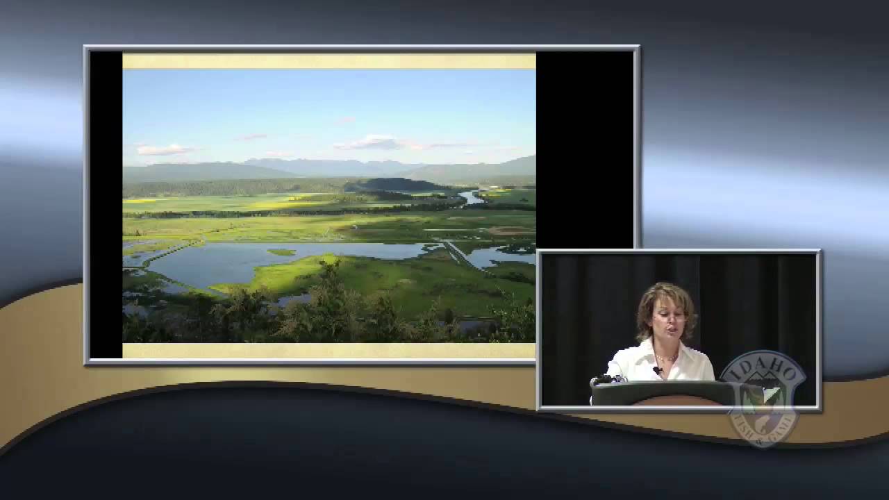 "Work for the greater good." -Toni Hardesty - YouTube