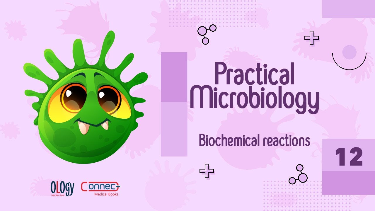 12- Biochemical reactions 1 (Saccharolytic & Proteolytic activity ...