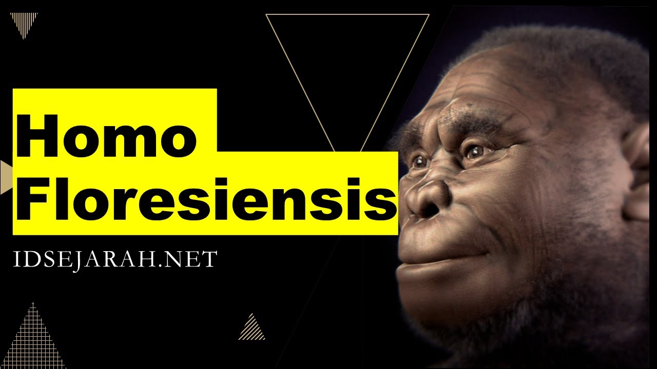 Materi Sejarah Homo Floresiensis / Sejarah Indonesia - YouTube
