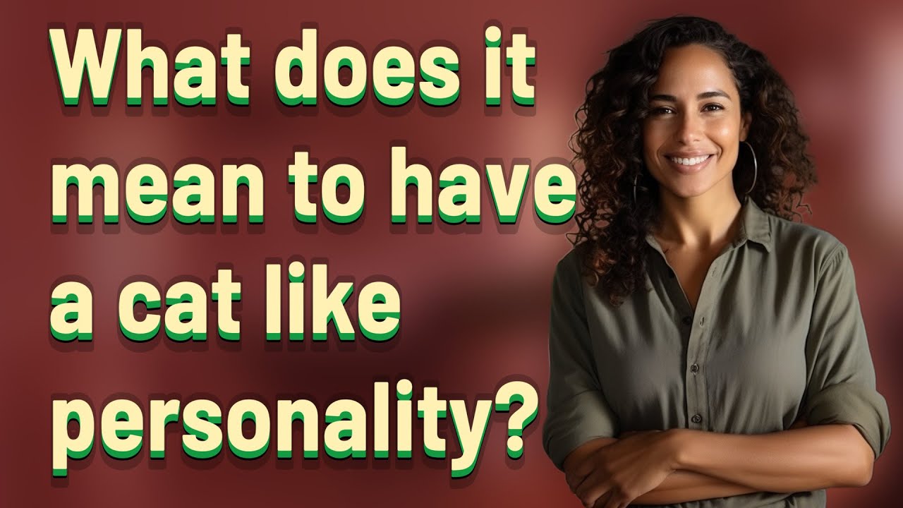 What does it mean to have a cat like personality? - YouTube