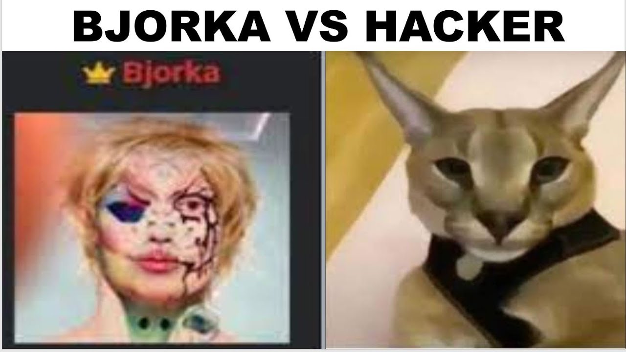 Hacker vs Bjorka Be Like #meme #bjorka - YouTube