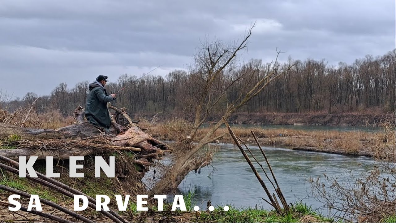 klen sa drveta ( chub from the tree ) - YouTube