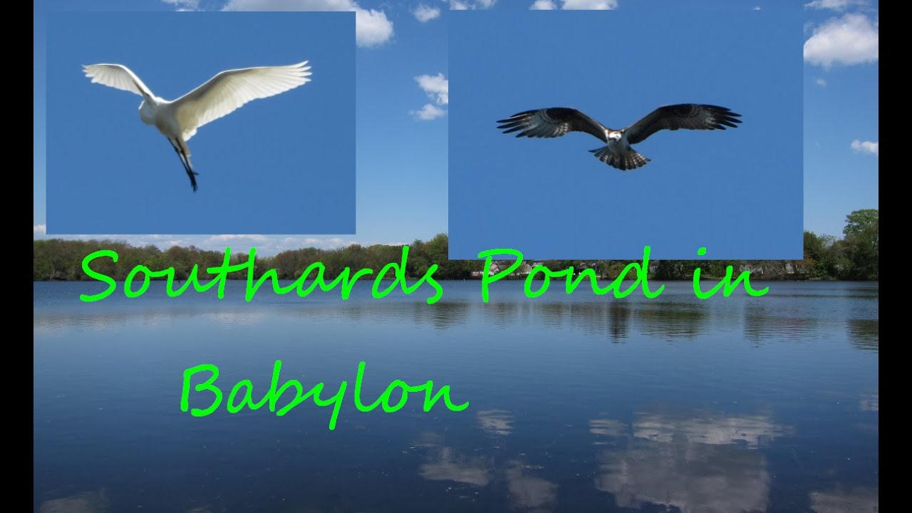 A Walk Around Southards Pond & the Carll's River in Babylon - YouTube