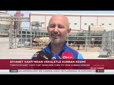 Türkiye Diyanet Vakfı’ndan Vekaletle Kurban Kesimi