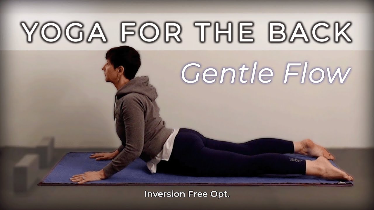 Gentle Yoga Flow for the Back - Inversion Free - YouTube