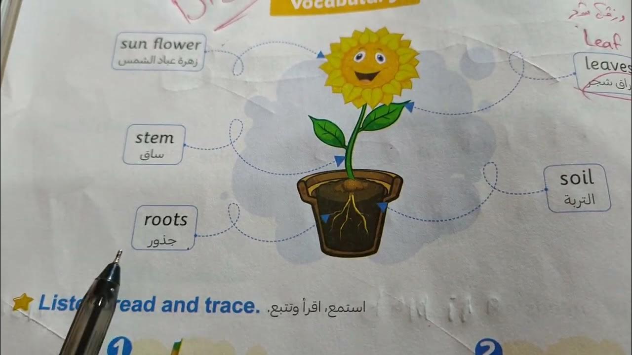 شرح كونكت بلس كتاب المعاصر الدرس الثامن الوحده الرابعه connect plus ...