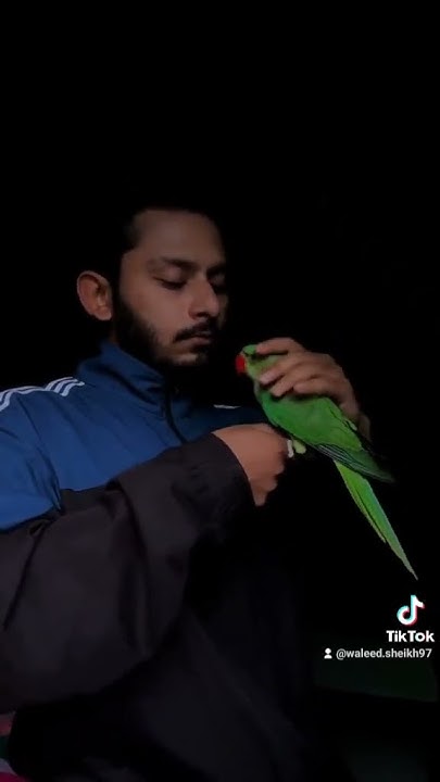Stop parrot biting habbit🥰 ️🦜 - YouTube