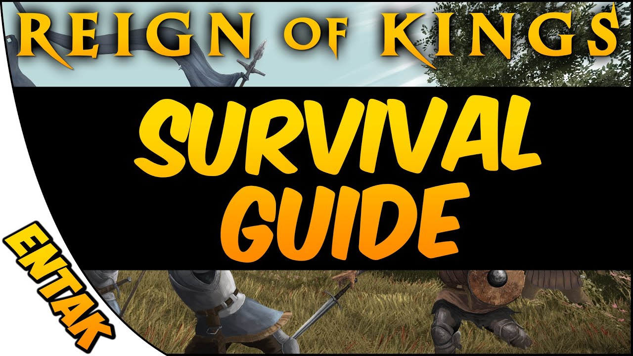 Reign of Kings In Depth Beginner Guide & Tutorial - Basics, Starting ...