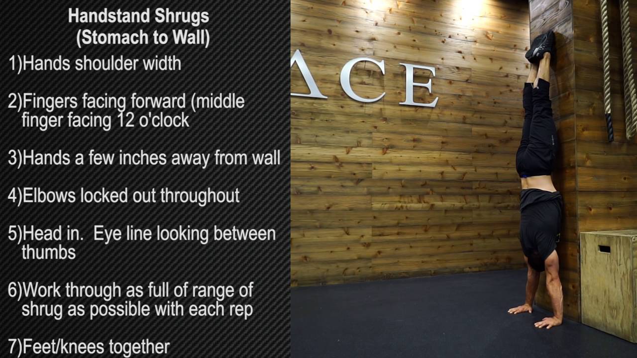 Handstand Shrugs (Stomach to Wall) - YouTube