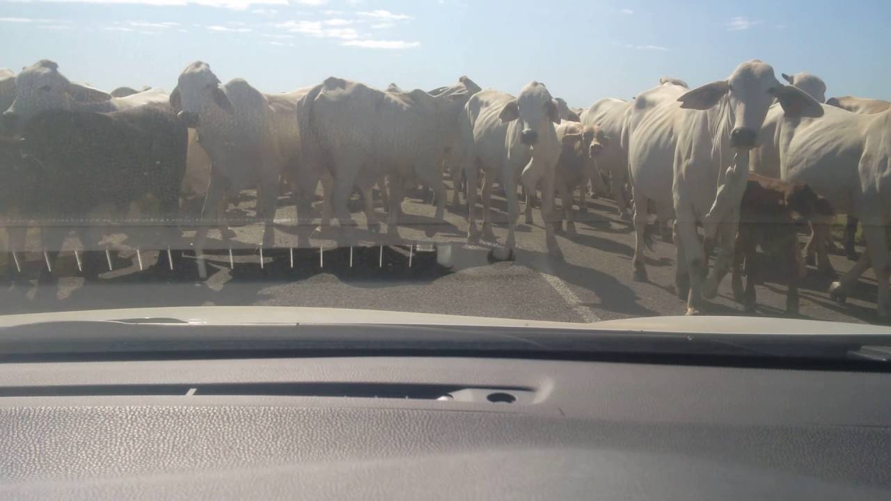 Contract Mustering - YouTube