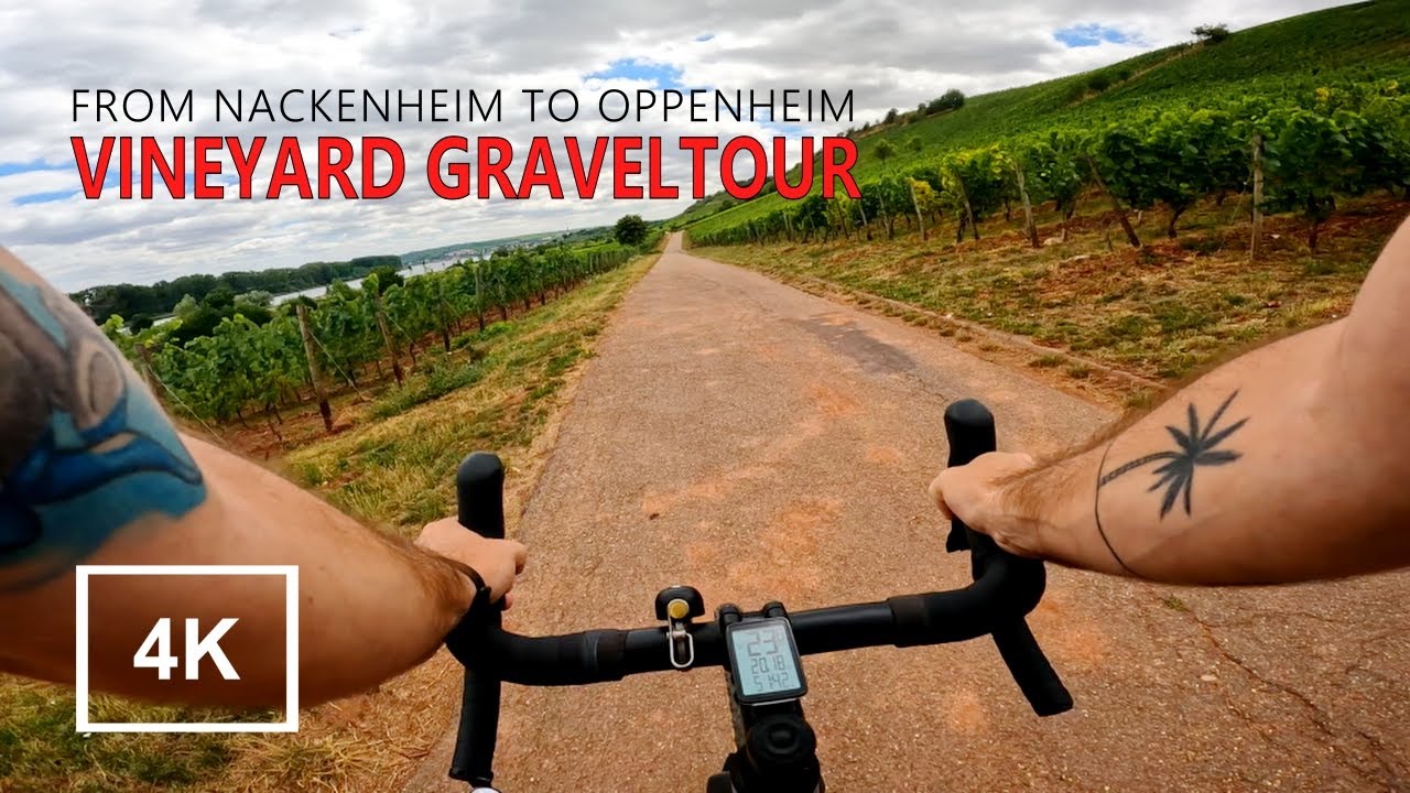 Vineyard Gravel Bike Tour on the Rhine riverside, Germany | Rose ...