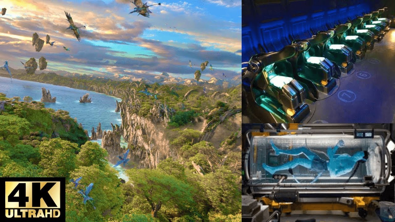 Flight of Passage Disney World POV 2021 | Avatar Ride [4k] - YouTube