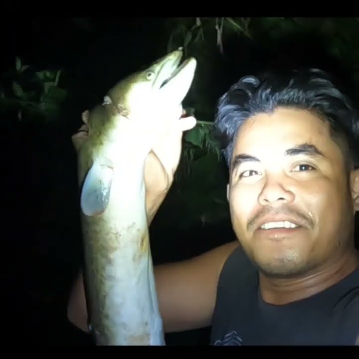 kasili or eel #eelcatch - YouTube