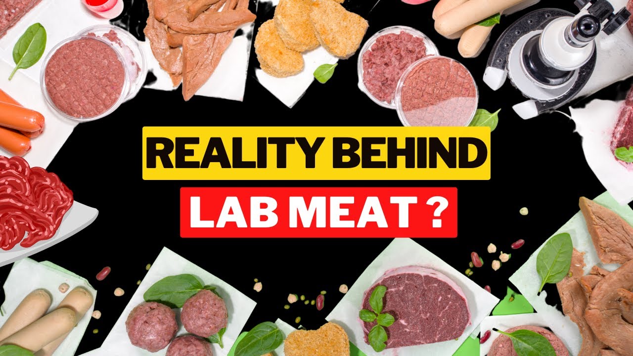 Is Lab Grown Meat the Future of Meat ? | Lab Grown Meat Explained ...