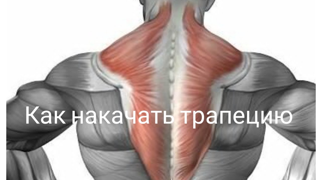 Как накачать трапецию Youtube