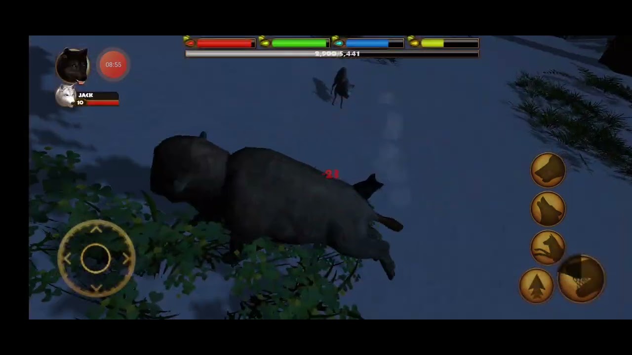 the last bosses dreafted and the birth of a pup!|ultimate wolf ...