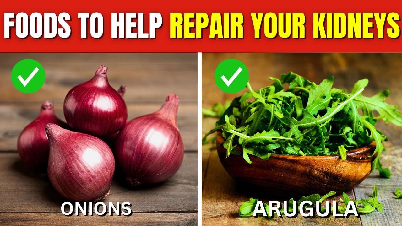 Top 19 Foods to Help Repair Your Kidneys - YouTube