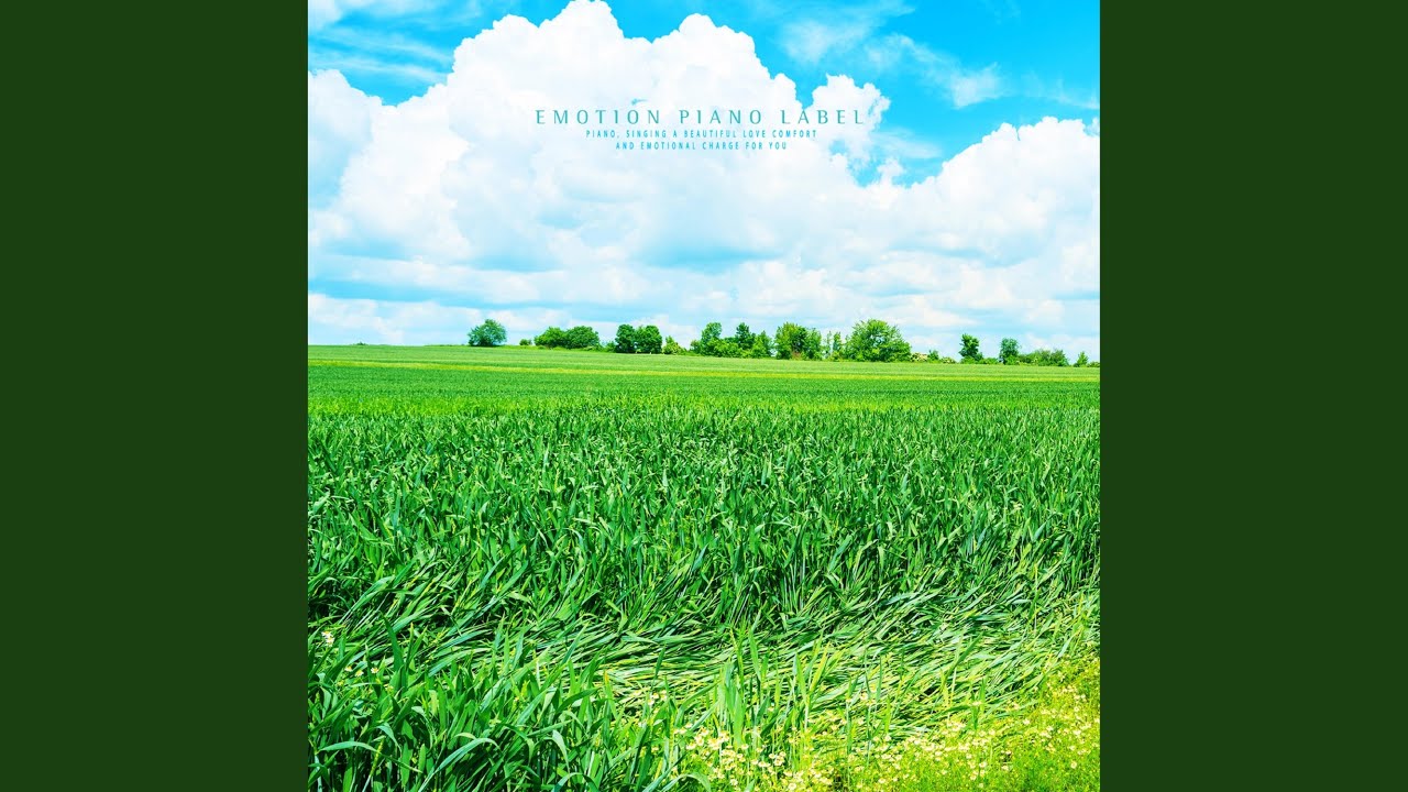 Feel The Wind (Nature Ver.) - YouTube